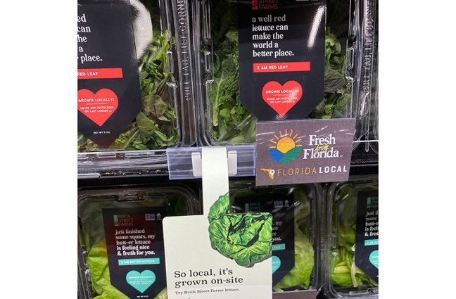 Publix's GreenWise Pilots Program To Grow Hydroponic Lettuce On-Site