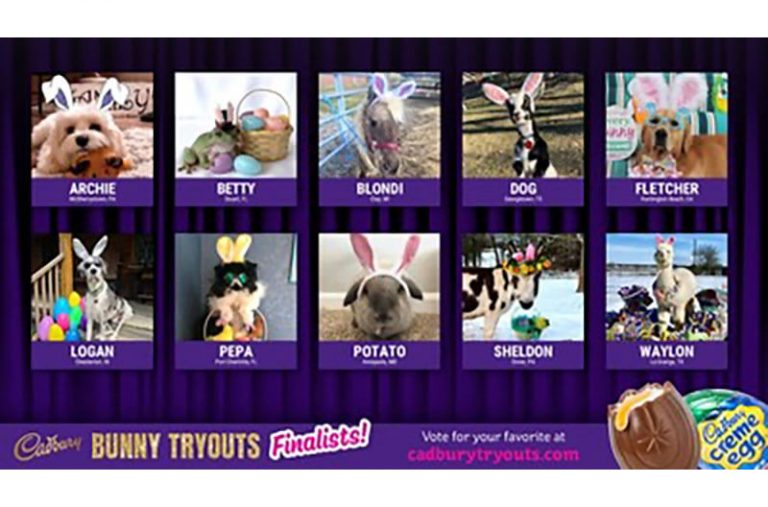 Cadbury Brand Announces 10 Finalists In 2021 Cadbury Bunny Tryouts