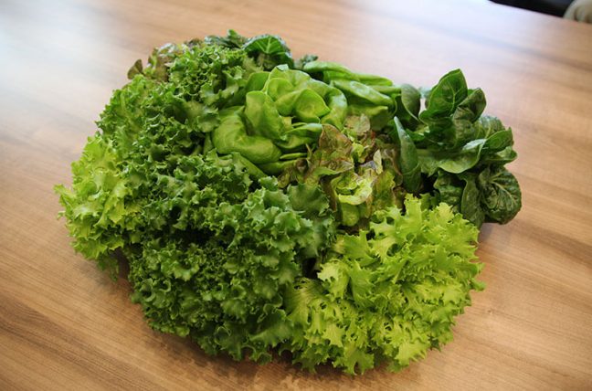 Kalera Acquires &ever GmbH To Form Global Leader In Vertical Farming