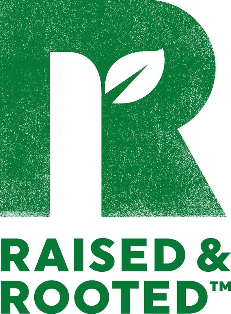 Raised & Rooted Launches New Plant Based Bites