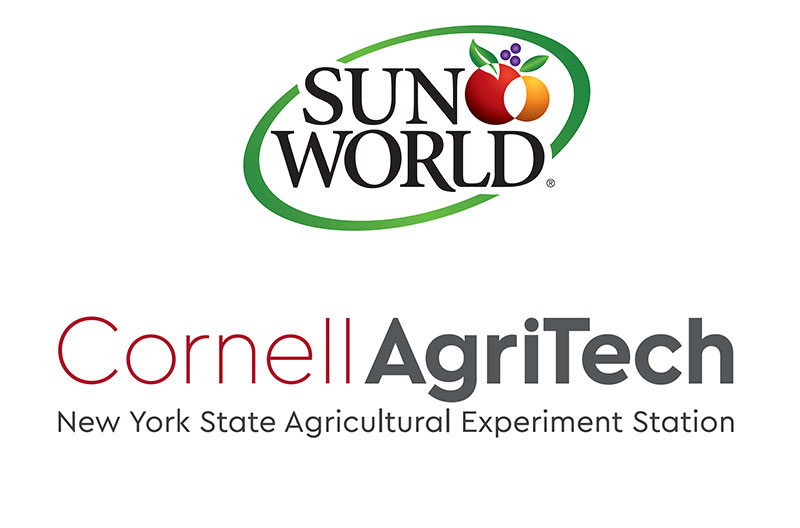 Cornell-Sun World Partnership Releases New Grape Varieties