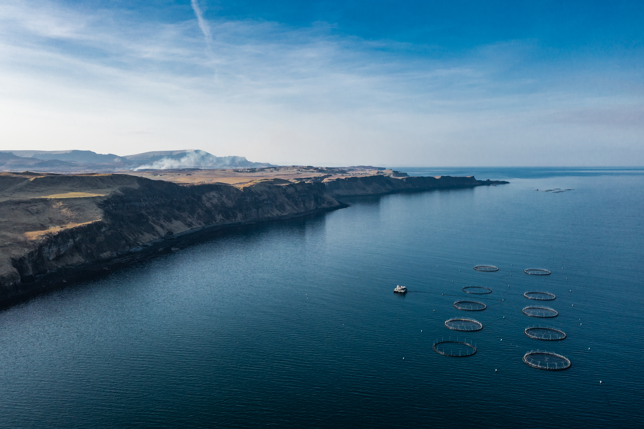 North Coast Seafoods Launches Organic Scottish Salmon