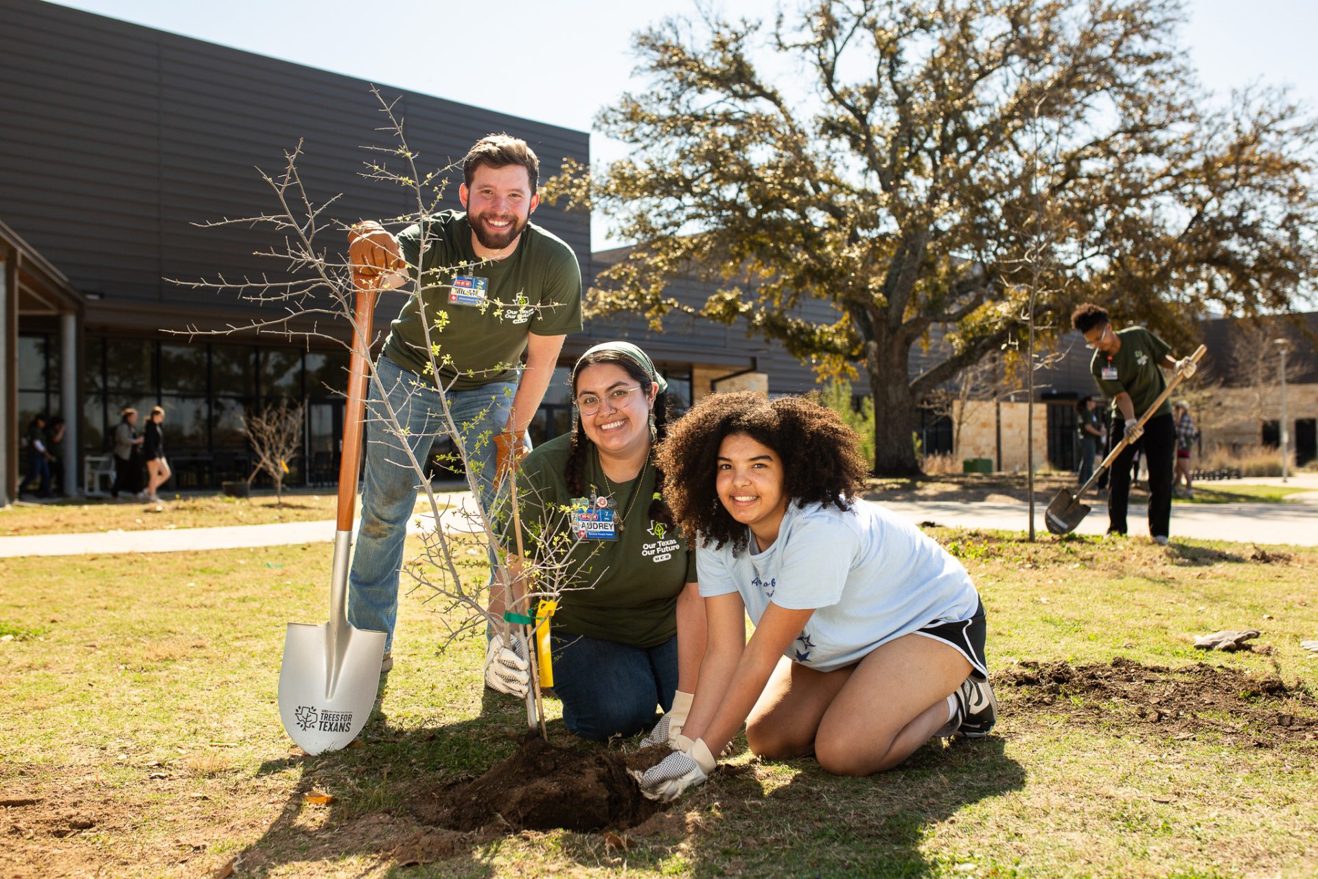 H-E-B Offers $140K In Grants To Plant Trees Across TX